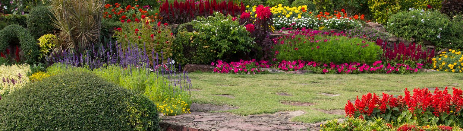 Landscaping Springfield MO - Commercial Lanscaping Services